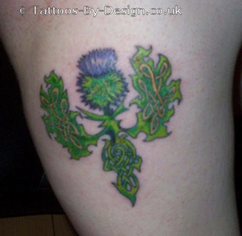 Thistle Celtic Tattoo